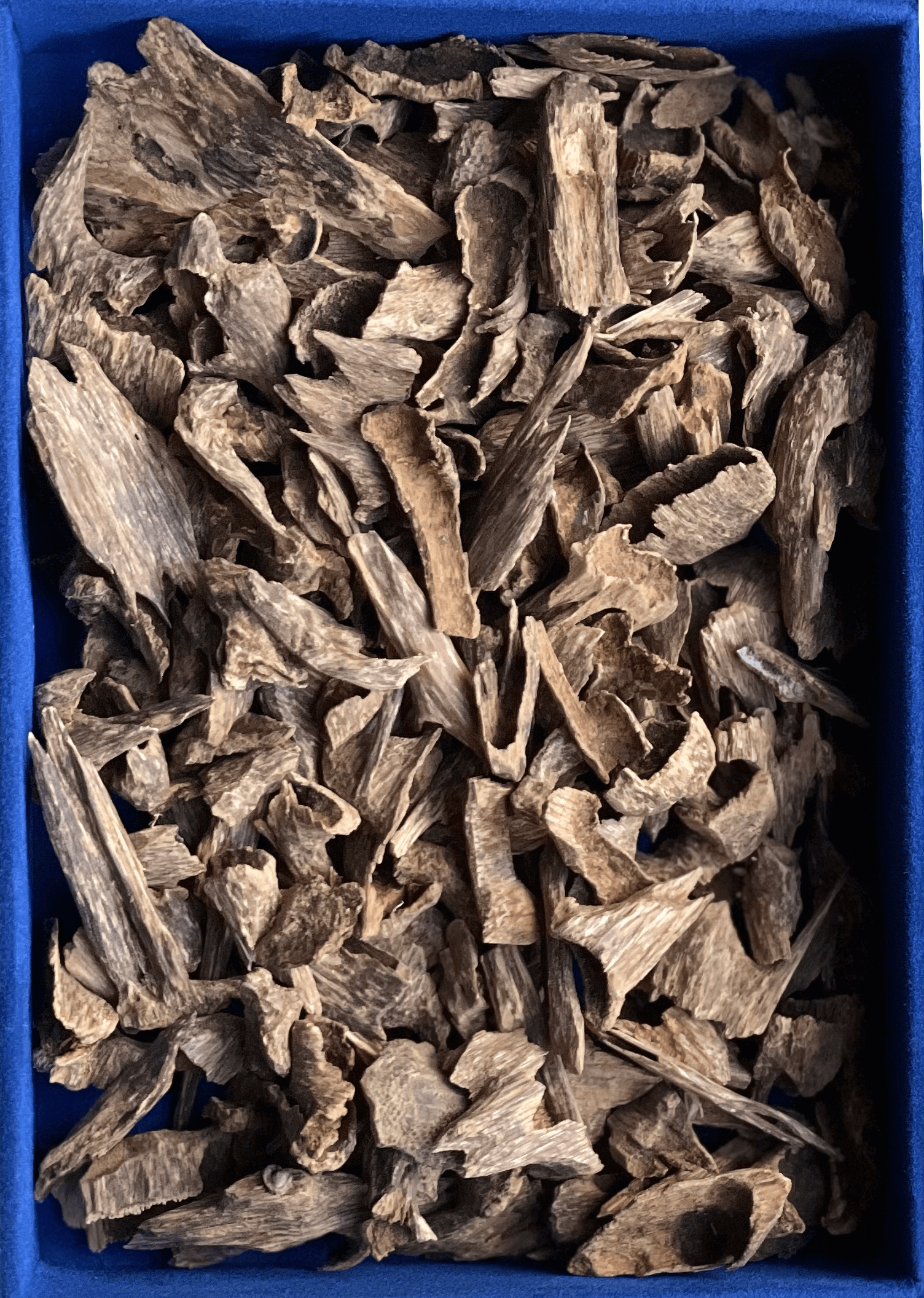 Maysson Ltd – Maysson Limited